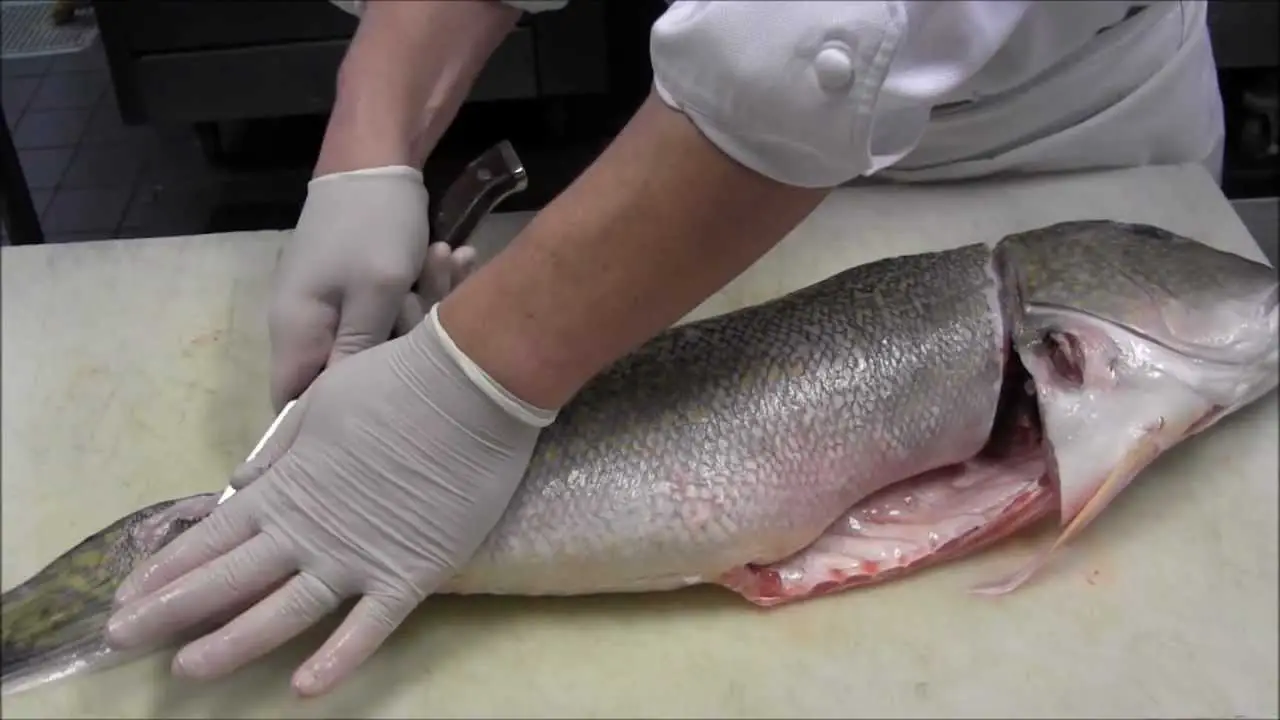 After the Catch: How to Prepare and Conserve Fish