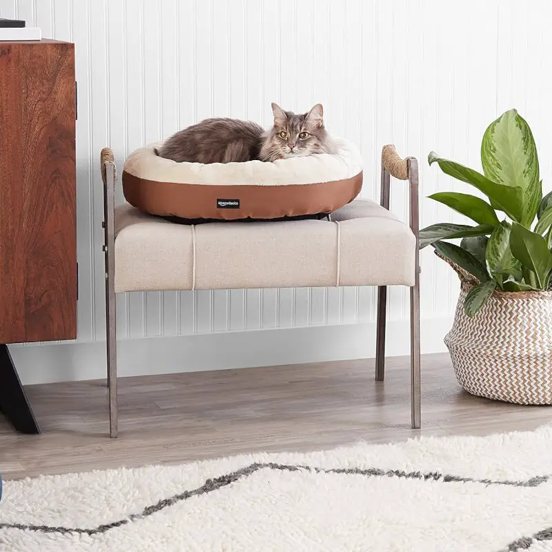 Best Cat Beds Reviewed & Compared 2024 | Gearweare.net