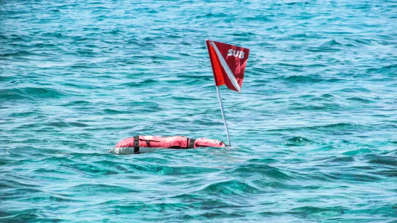 Best Dive Flags Reviewed & Rated 2024 | Gearweare.net